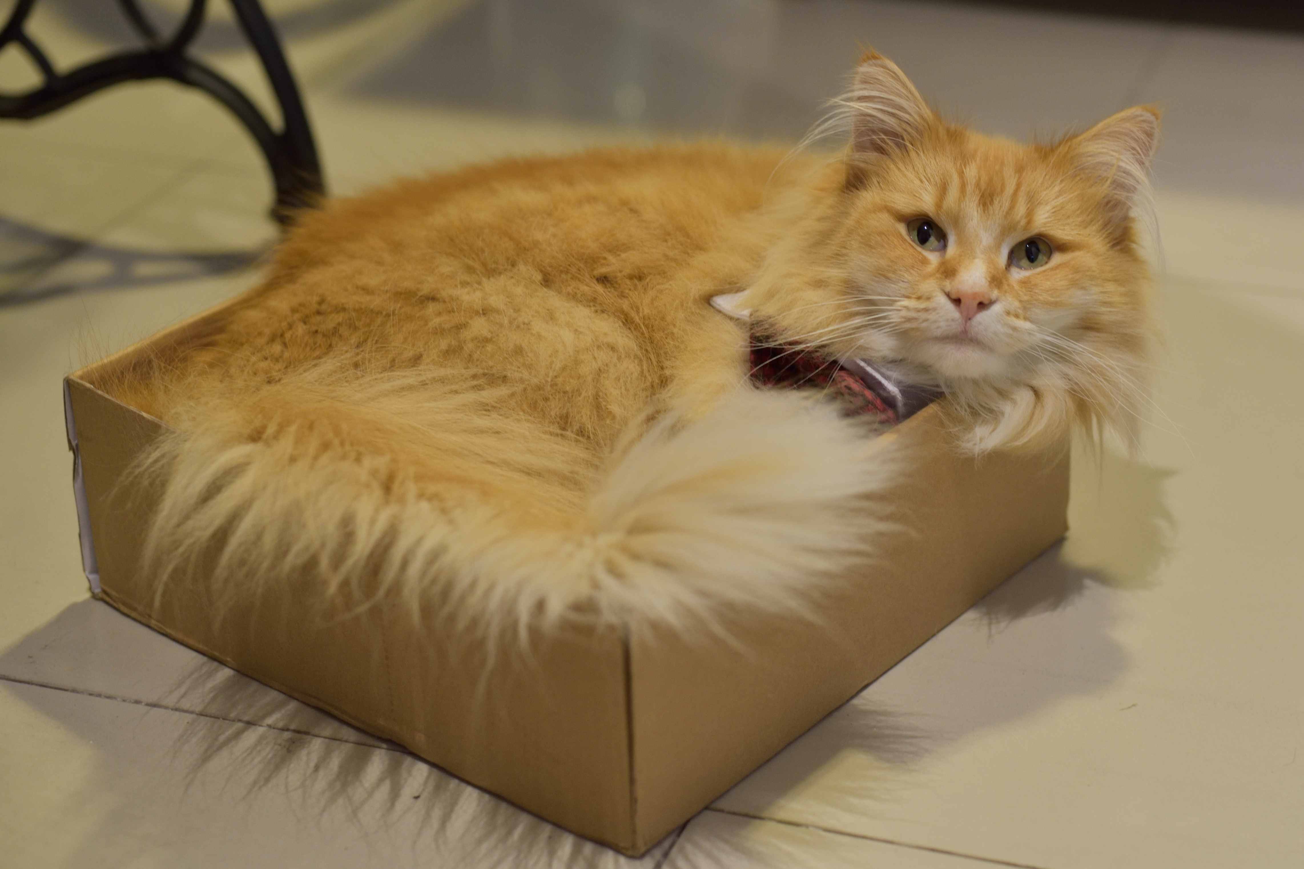 El despido en el trabajo eventual